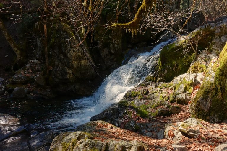 Hike Faery Falls: Fantastic Waterfall on Ney Springs Creek Near Mount ...