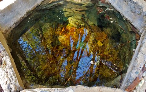 Hike Faery Falls: Fantastic Waterfall on Ney Springs Creek Near Mount ...