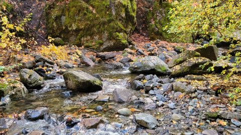 Hike Faery Falls: Fantastic Waterfall on Ney Springs Creek Near Mount ...