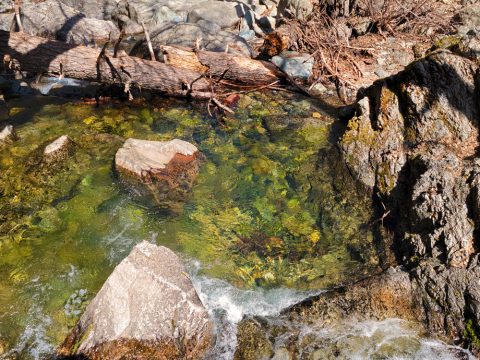Hike Faery Falls: Fantastic Waterfall on Ney Springs Creek Near Mount ...