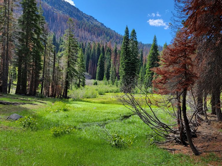 Trail Gulch and Long Gulch Lakes Loop: 2022 Hike Report After the 2021 ...
