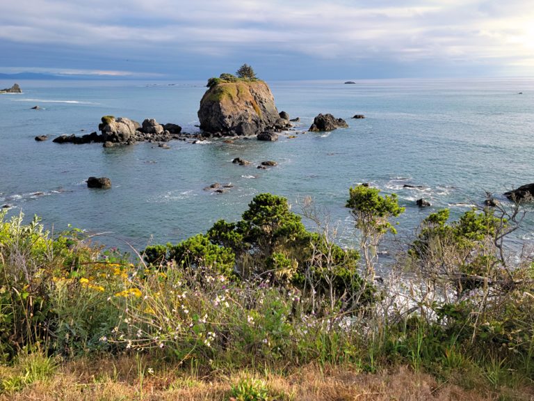 Pebble Beach Drive, Crescent City: Beach Walks, Ocean Vistas ...